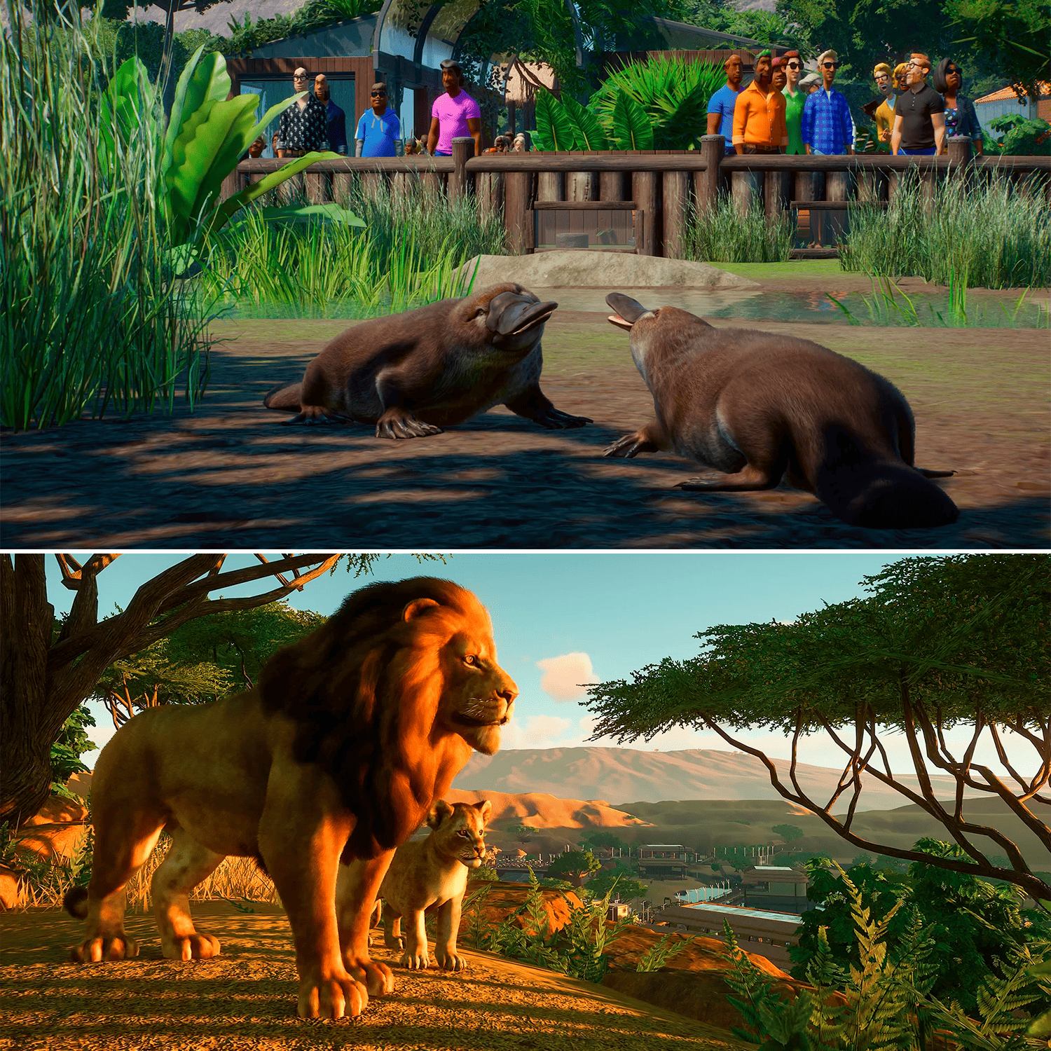 Planet Zoo Console Edition PS5 Digital - SaveGames - Games Digitais ...