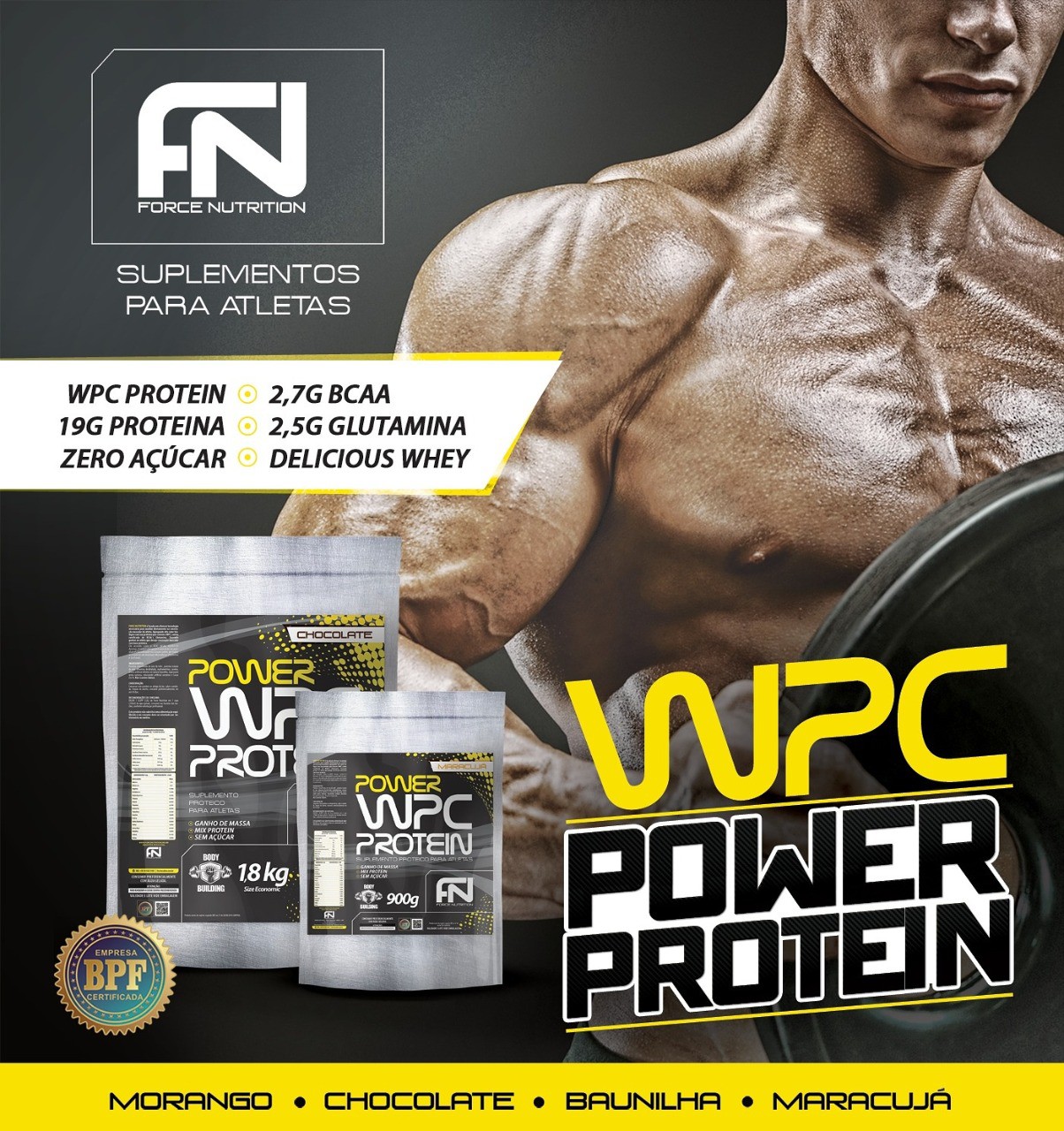 WHEY PROTEIN CONCENTRADO POWER 900G – 19G - Force Nutrition Labs