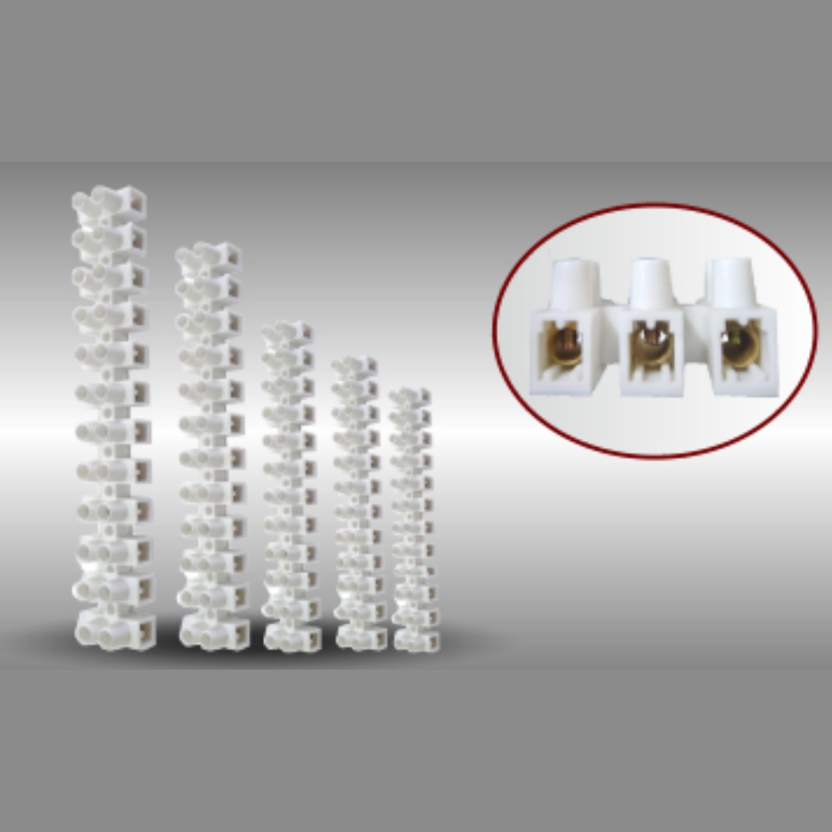 Conector Barra 4mm à 6mm com 12 Polos Branco - Engenorma