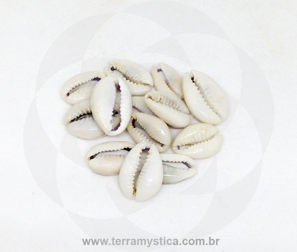 BUZIOS BRANCO - ABERTO - Loja Umbanda EAD