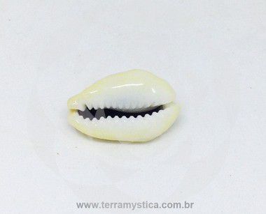 BÚZIOS ANGOLA PP - Loja Umbanda EAD