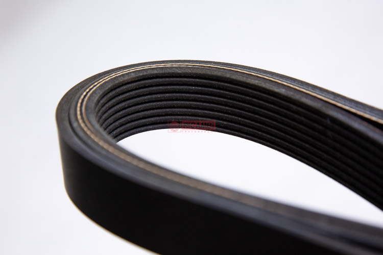 CORREIA 3289279 - Ricambi Tratorpeças