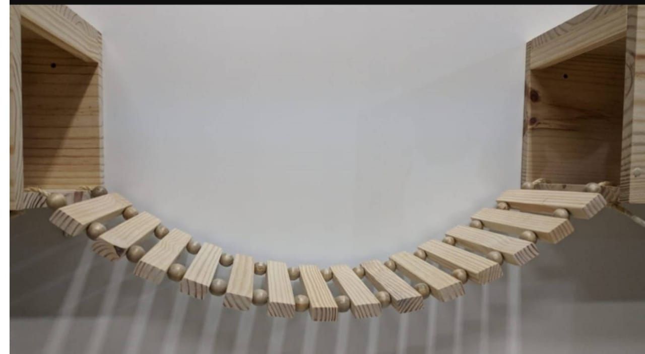 Ponte Avulsa para gatos - Beppe Pets