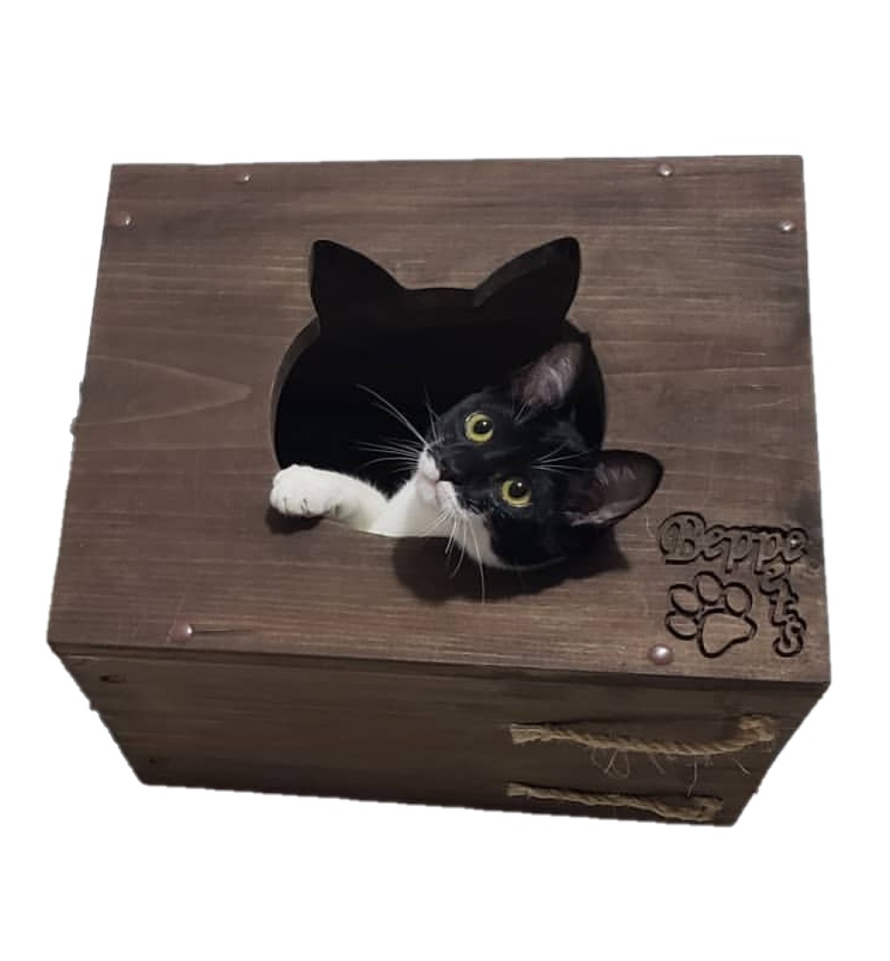 Caixa / nicho / box P para gatos - Beppe Pets
