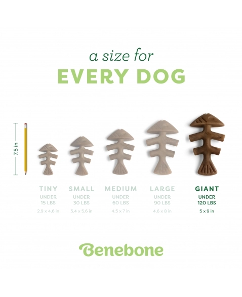 Benebone Fishbone GG - Fandog - Chega de tédio! Mordedores e brinquedos ...