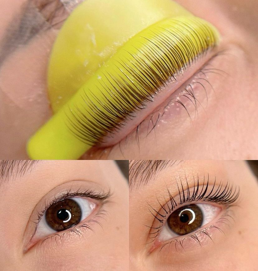Molde anatômico Lash Lifting - Loja da Micro e Cílios Molde anatômico Lash Lifting - Loja da Micro e Cílios