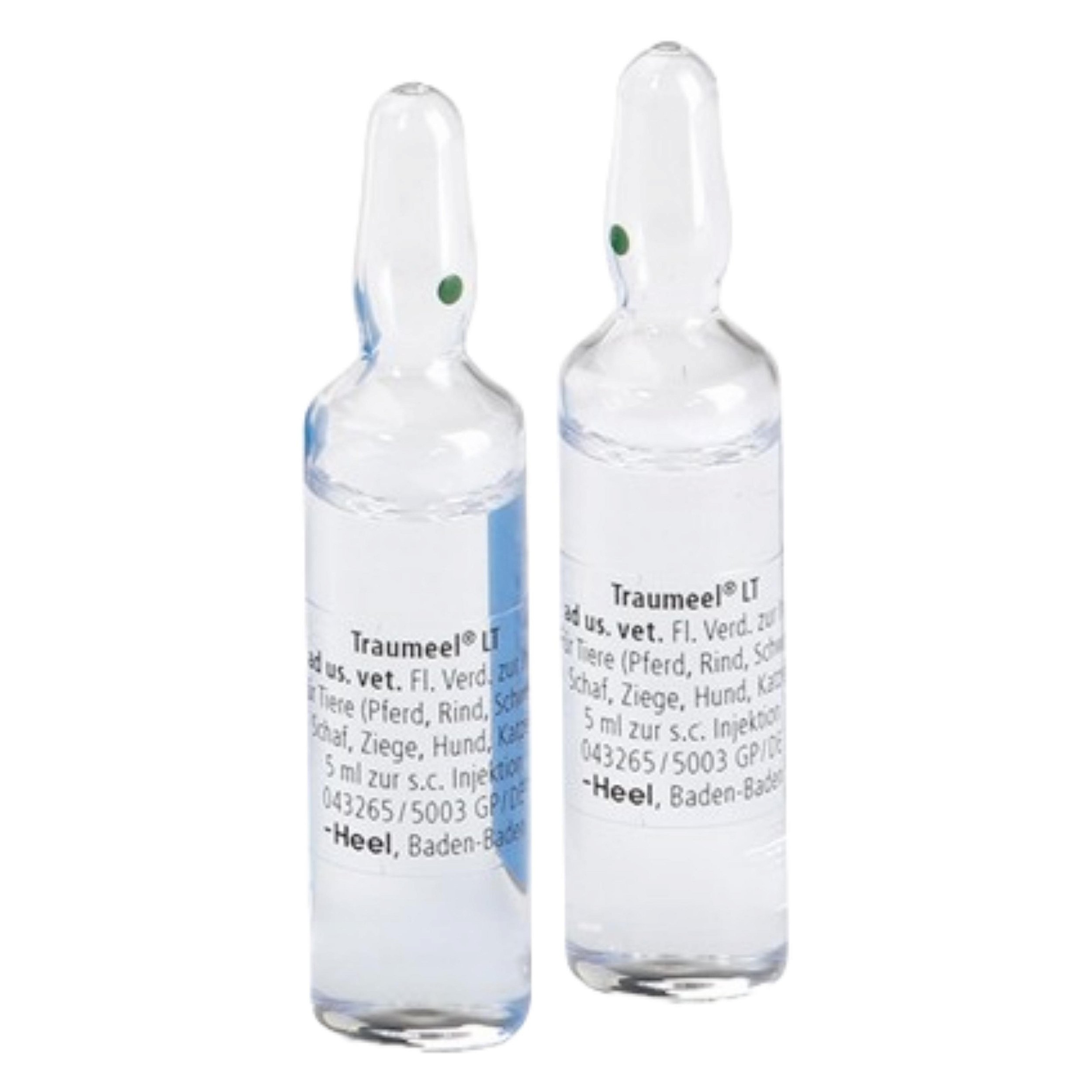 Traumeel Injetável 5 Ampolas De 5 mL - Heel Vet - KV Medical Produtos ...