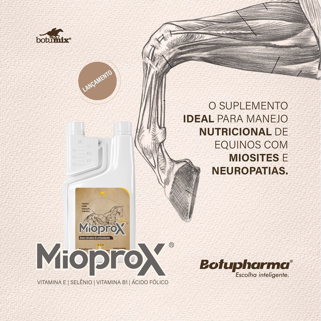 MioproX 1 Lt - Botupharma - KV Medical Produtos Hospitalares e Veterinários