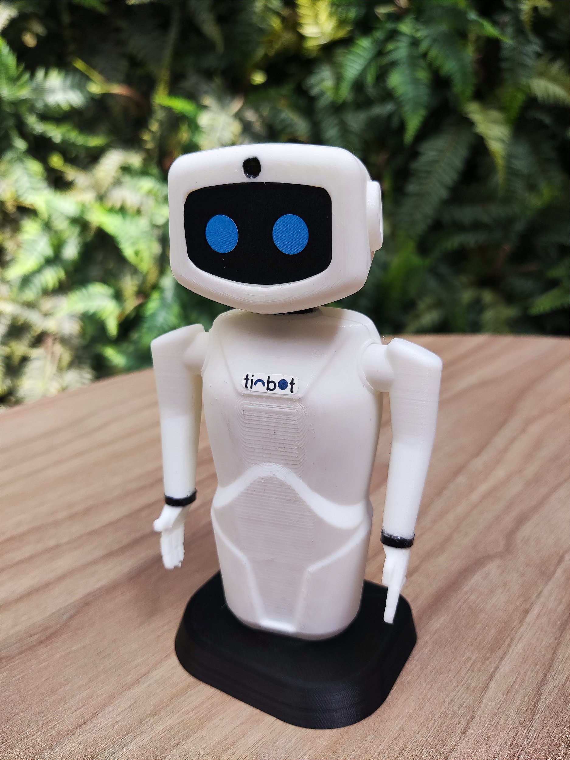 Mini Tinbot - LOJINHA DB1