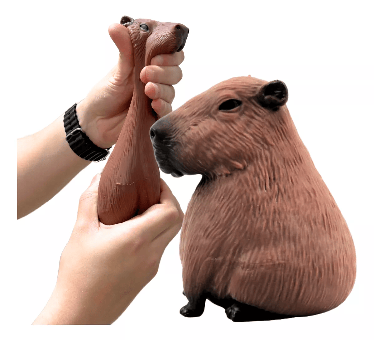 Capivara Divertida Estica - DMT7068 - Dm Toys - Real Brinquedos