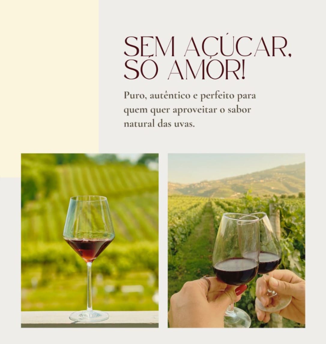 Vinho Branco Vegano Toscana Low Carb Sem Açúcar Sem Glúten 750ml Alibea ...