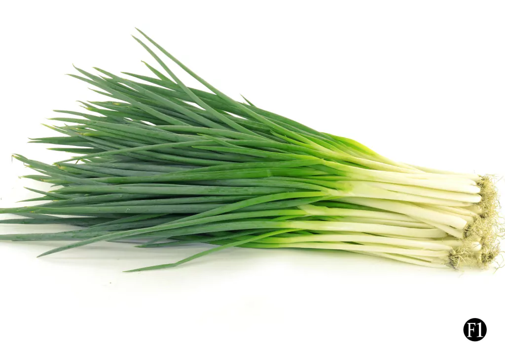 Sementes De Cebolinha Híbrida Itachi F1 100 Gramas Topseed - Lojão do ...