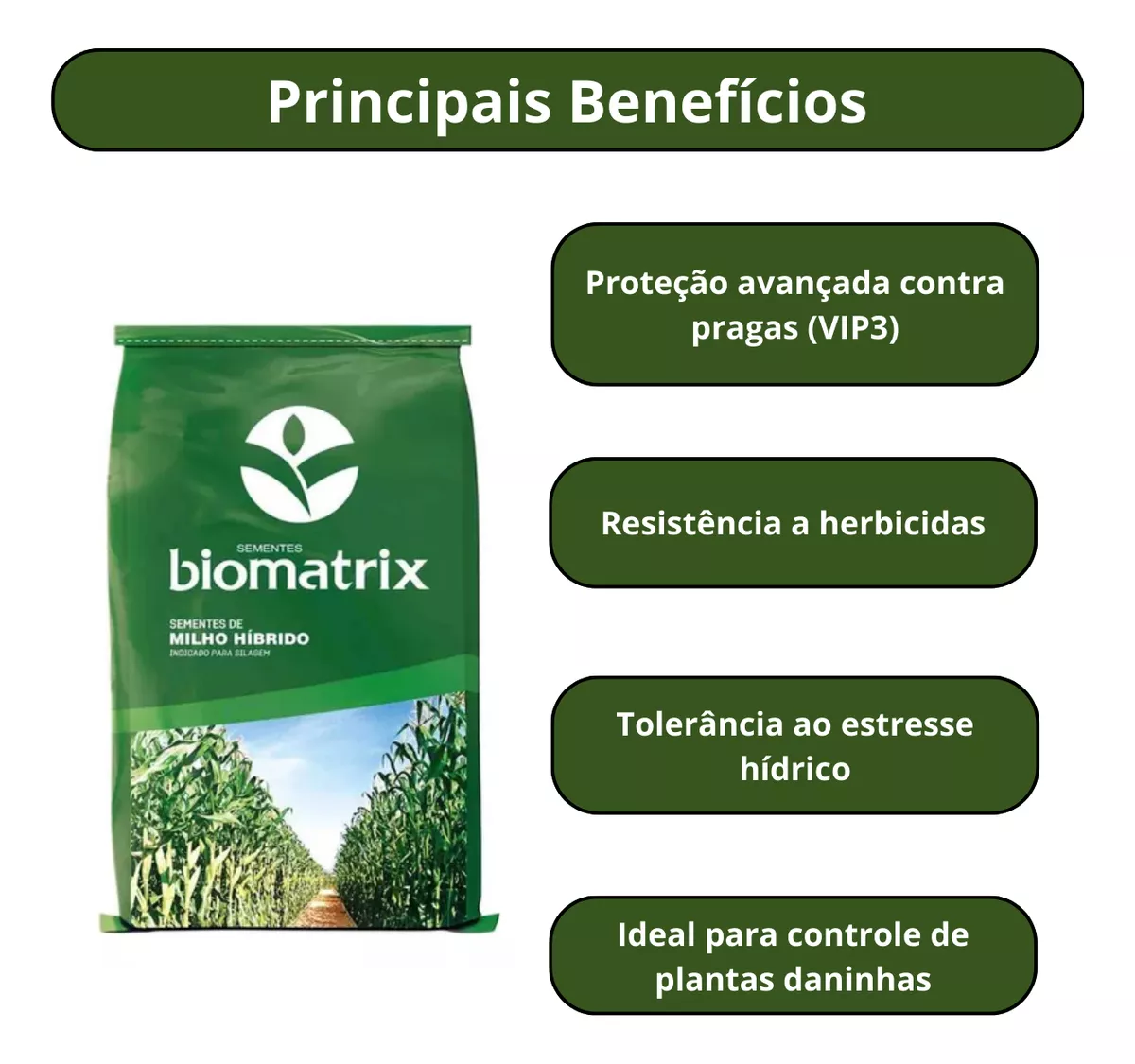 Semente Milho Biomatrix Bm3077 Vip3 60 mil Sementes - Lojão do Produtor