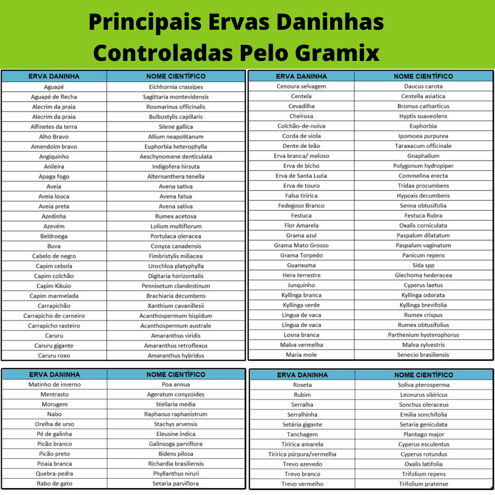 Gramix Herbicida Seletivo Para Gramados - 250ml - Lojão do Produtor