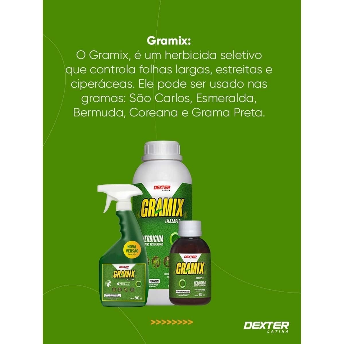 Gramix Herbicida Seletivo Para Gramados Pronto Uso - 500ml - Lojão do ...