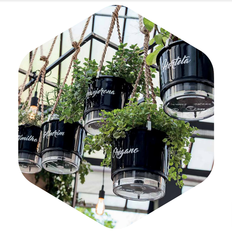 Vaso Autoirrigável N 03 Manjericão Preto - Médio - Coleção Gourmet Raiz ...