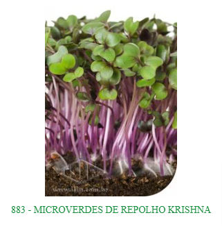 Kit Microverdes de Repolho Roxo e Rúcula Isla - Verde Mania porque ...