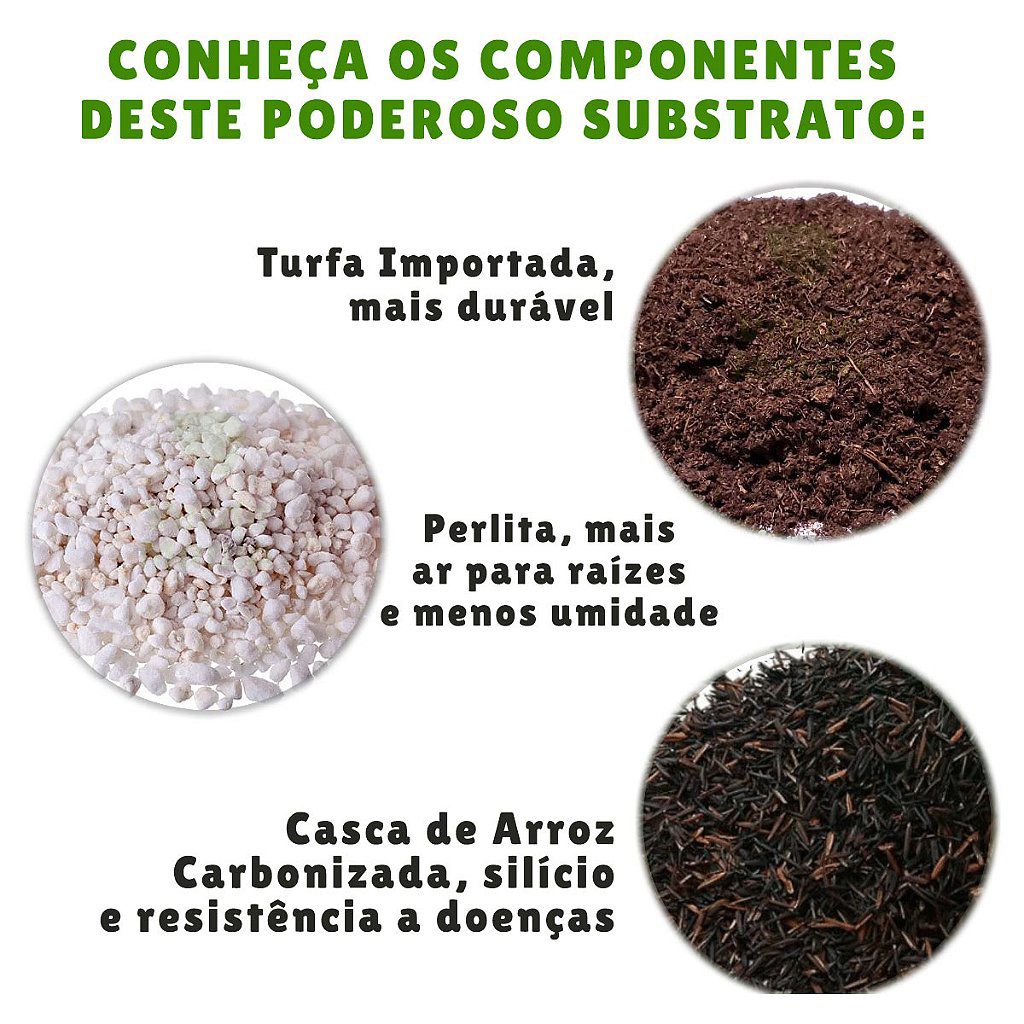 Substrato Carolina Soil, Turfa, Perlita, Casca de Arroz - 969 - XCVII ...
