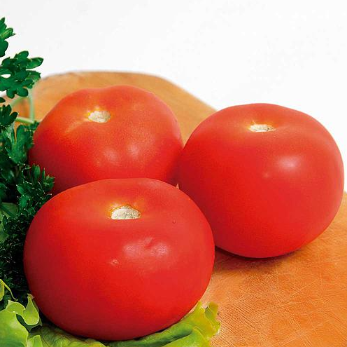Sementes de Tomate Kaiçara - 200mg - Orgânico Isla - Verde Mania porque ...