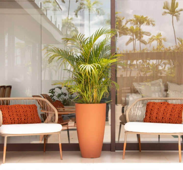 Kit de 3 Vasos Vietnamita Terracota - Vasap Design - Verde Mania porque ...