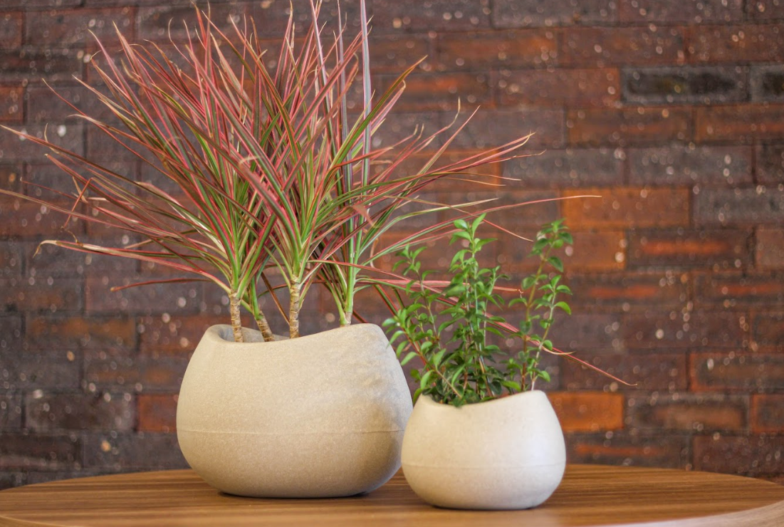 Vaso Texturizado Oval 19 Cimento - Terraza - Nutriplan - Verde Mania ...