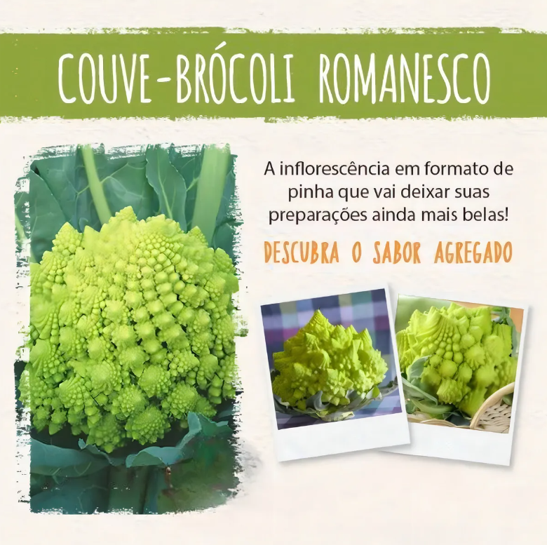 Sementes de Couve-Brócolis Romanesco 800mg - Isla Multi - Verde Mania ...