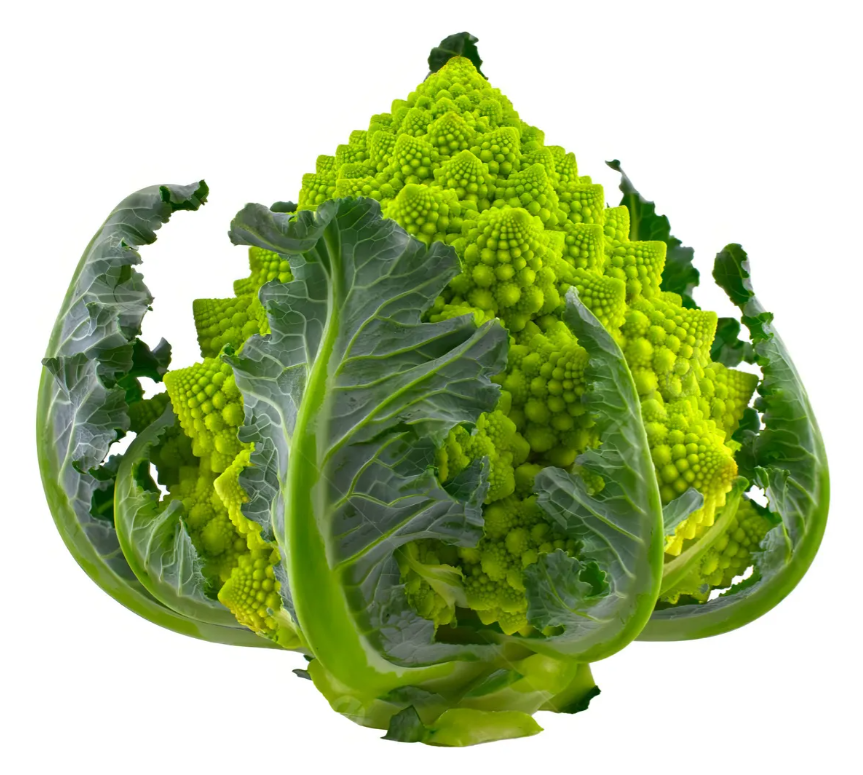 Sementes de Couve-Brócolis Romanesco 800mg - Isla Multi - Verde Mania ...