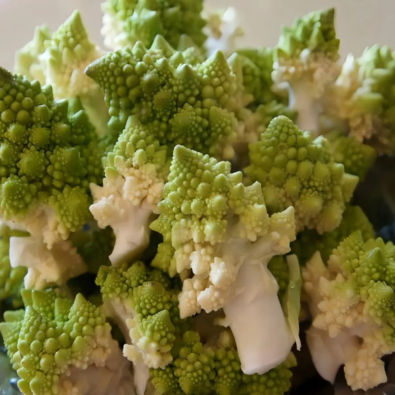 Sementes de Couve-Brócolis Romanesco 800mg - Isla Multi - Verde Mania ...