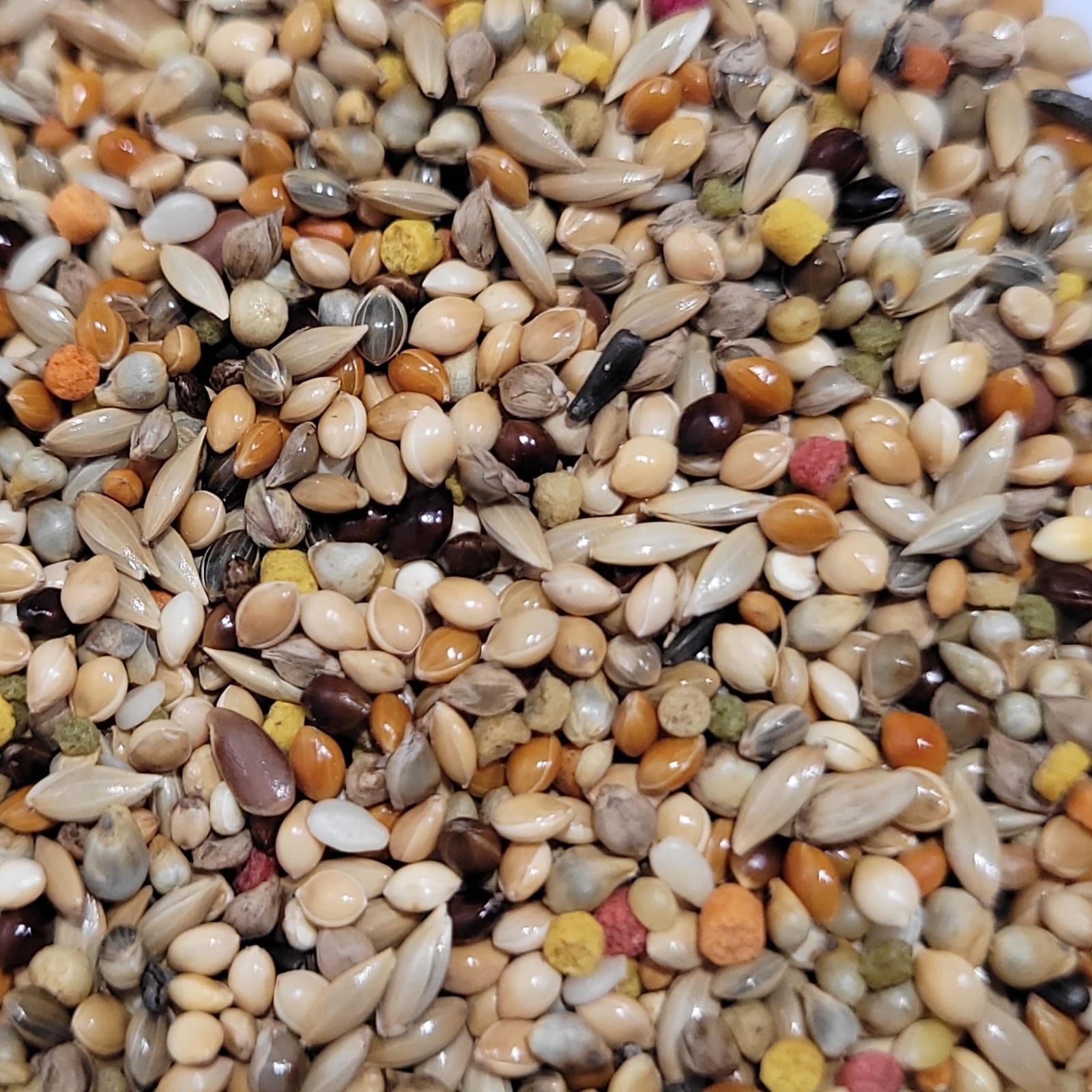 Megamix Premium Silvestres. Seleção Natural com Mix de semente e ração ...