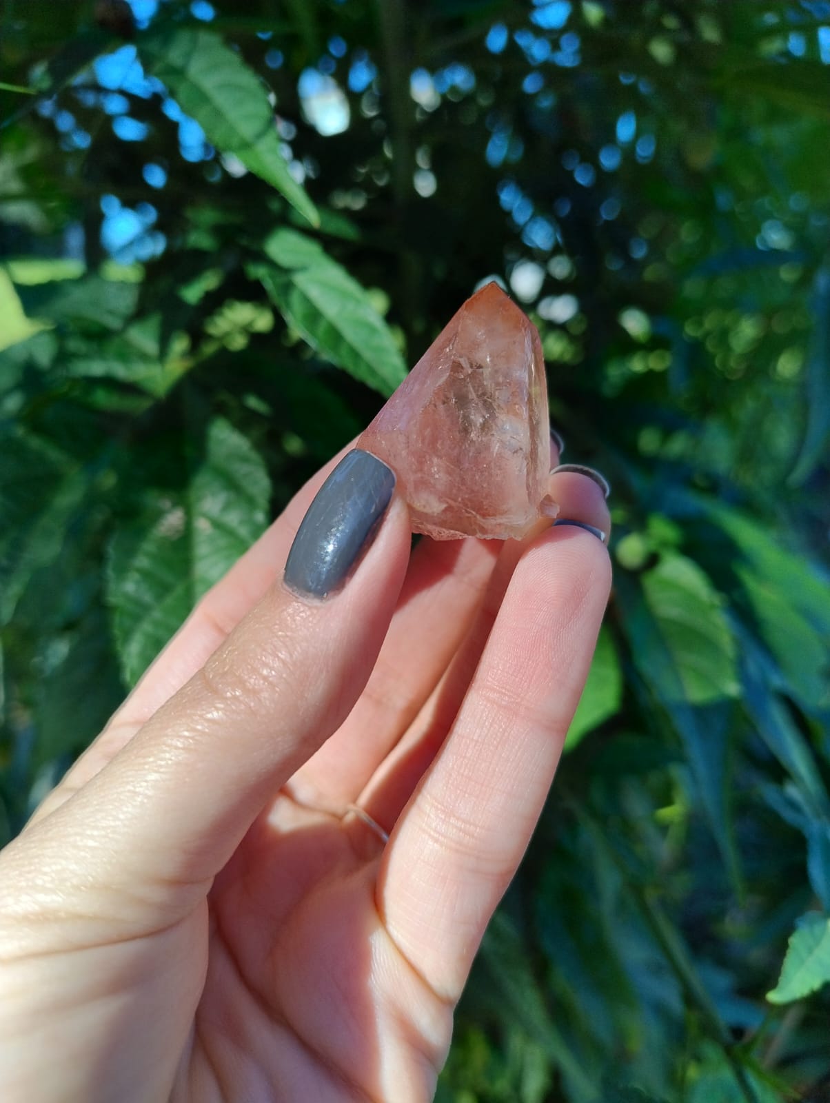 Ponta Rosa - Chantrea Pedras