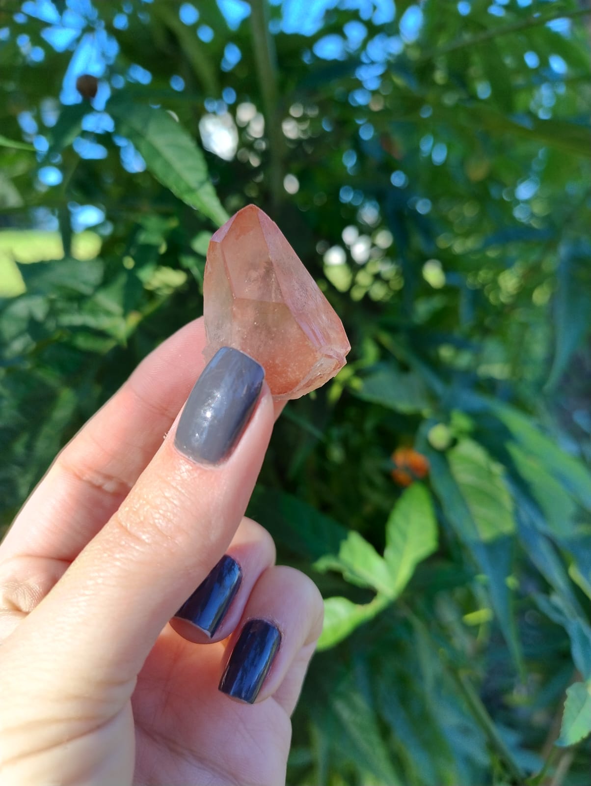 Ponta Rosa - Chantrea Pedras