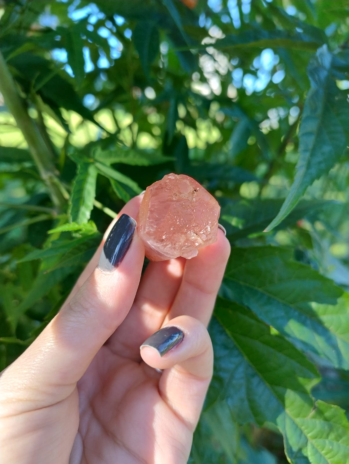 Ponta Rosa - Chantrea Pedras