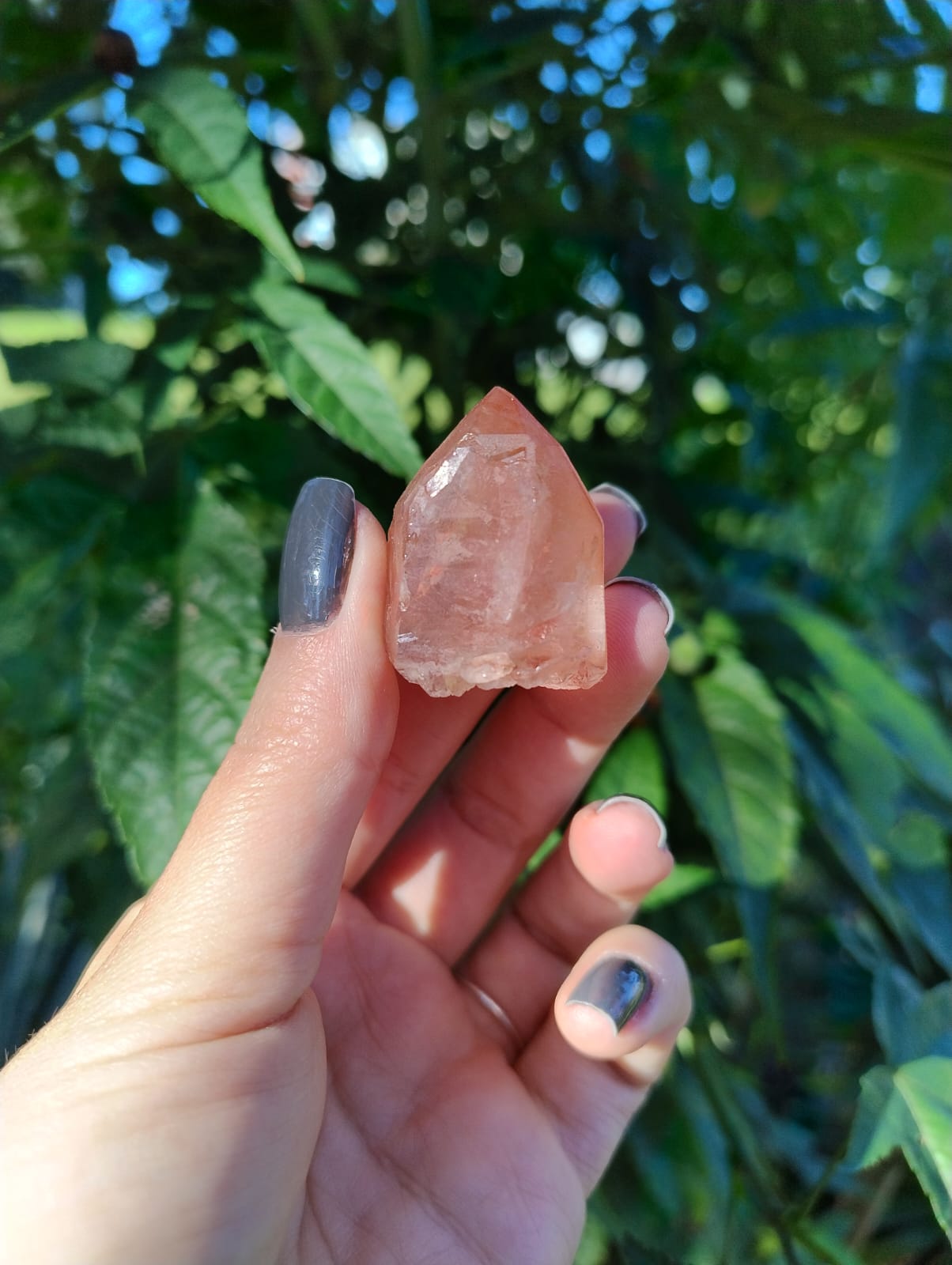 Ponta Rosa - Chantrea Pedras