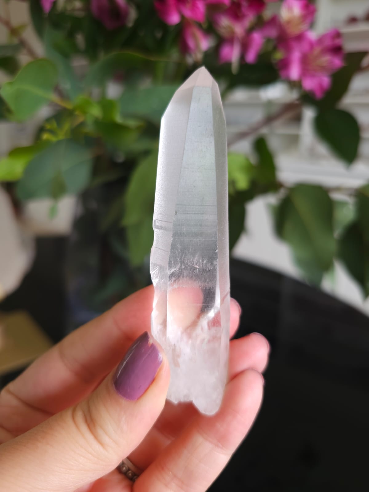 Mestre Lemuriano, Isís e Imprint - Chantrea Pedras