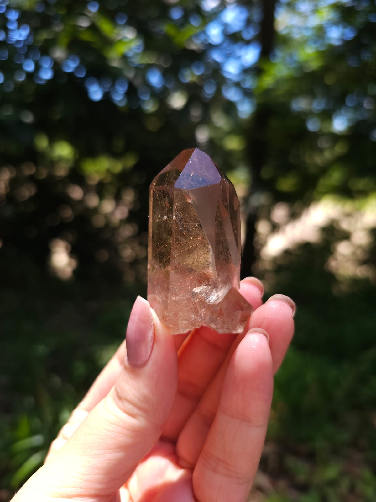 Quartzo com Rutilo Dourado Ponte para Dentro - Chantrea Pedras