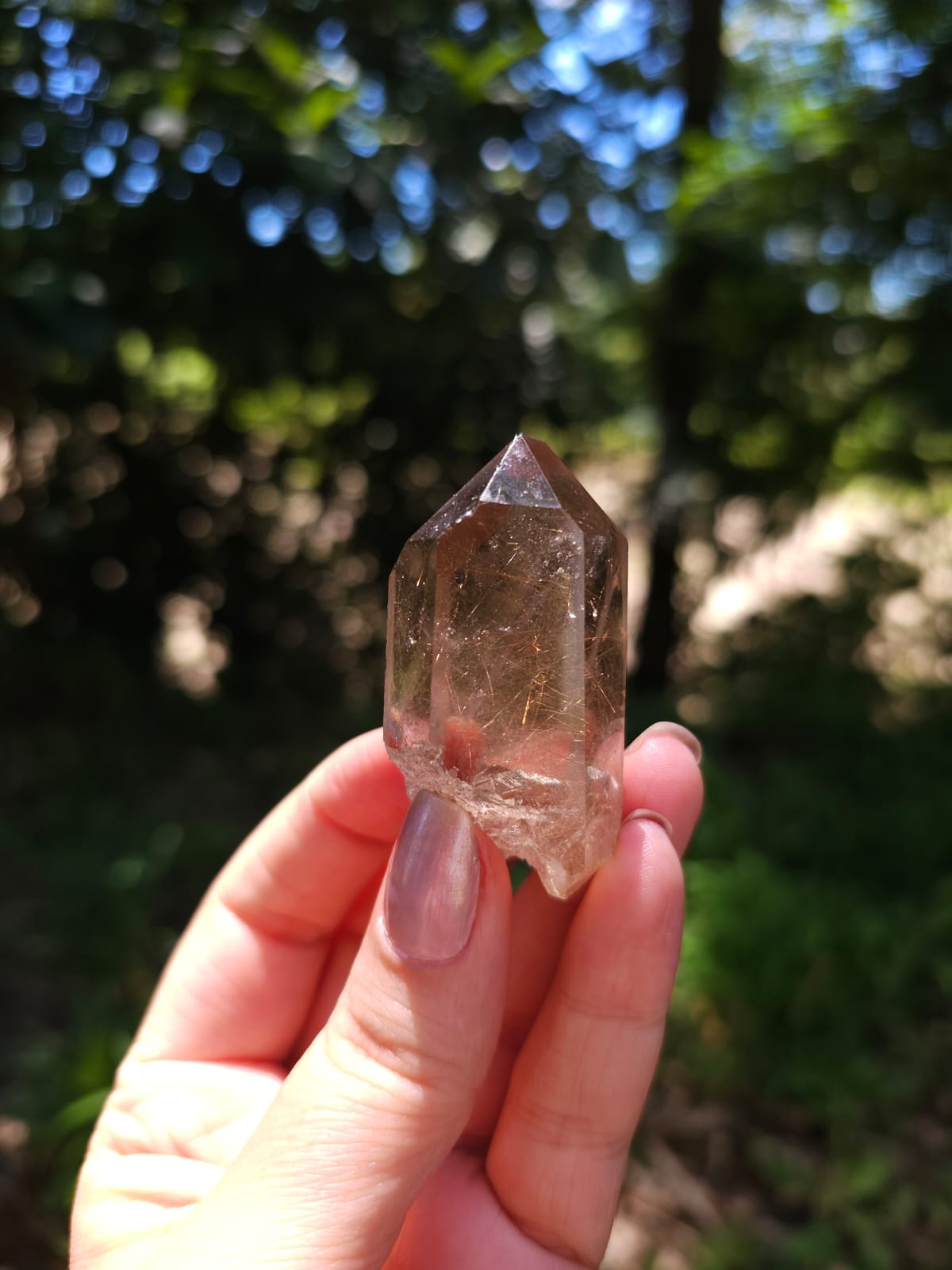 Quartzo com Rutilo Dourado Ponte para Dentro - Chantrea Pedras