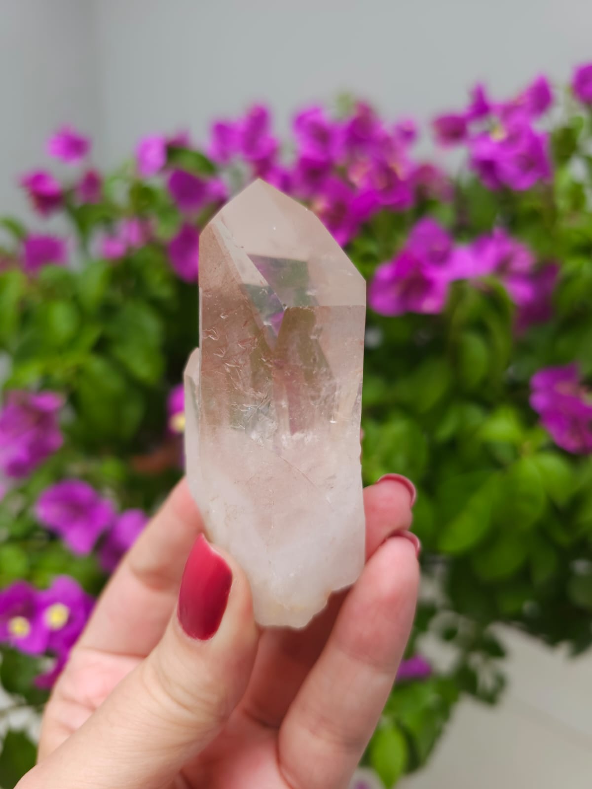 Ponta Rosa Elo do Tempo Passado Gravado - Chantrea Pedras