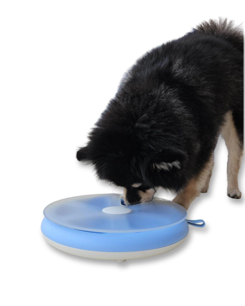 Brinquedo Interativo Carrossel quebra cabeça - Fuzzie - Empopets - pet ...