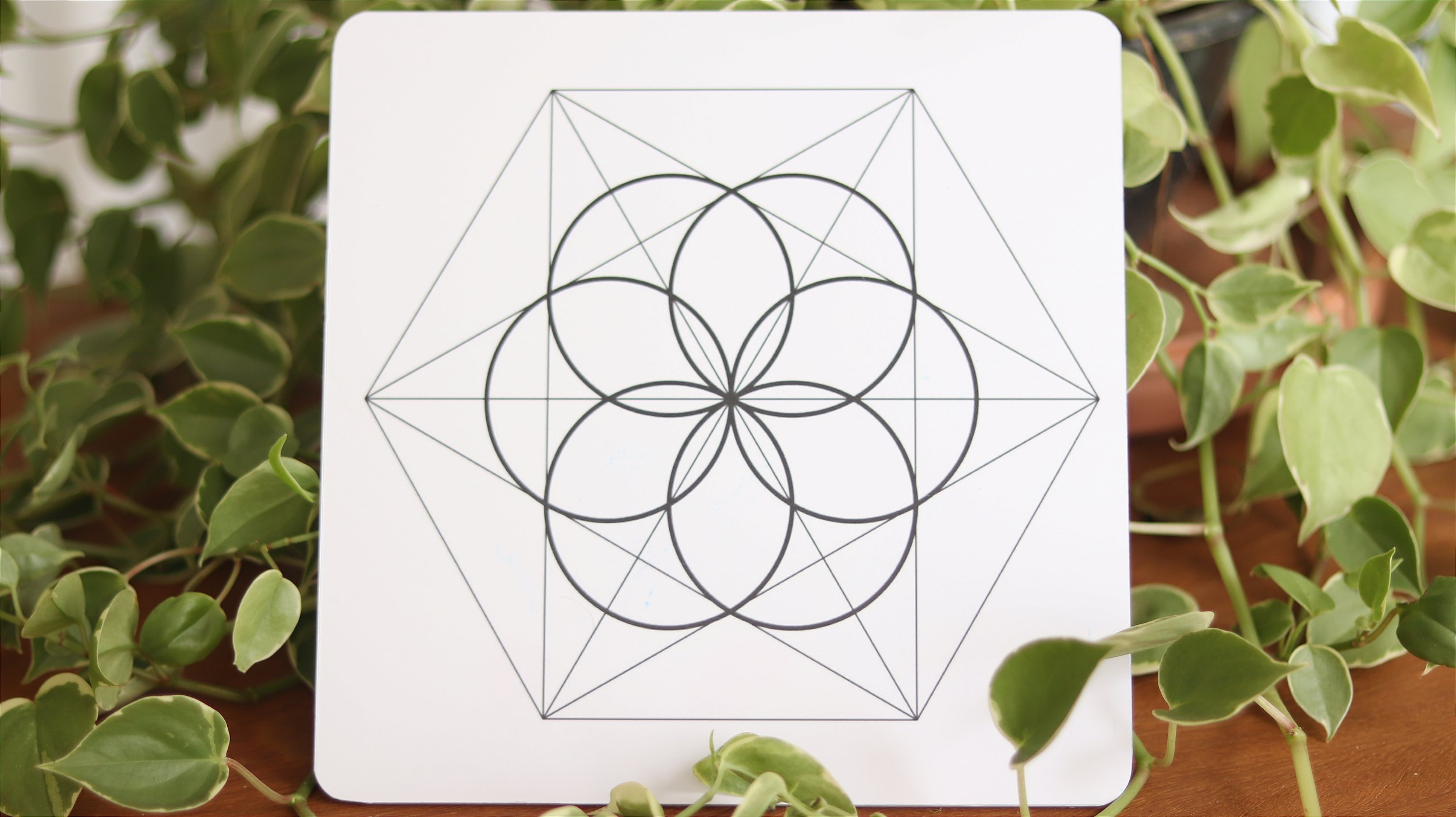 Mandala Semente da Vida – Placa de PVC - Gabi Rubi Store