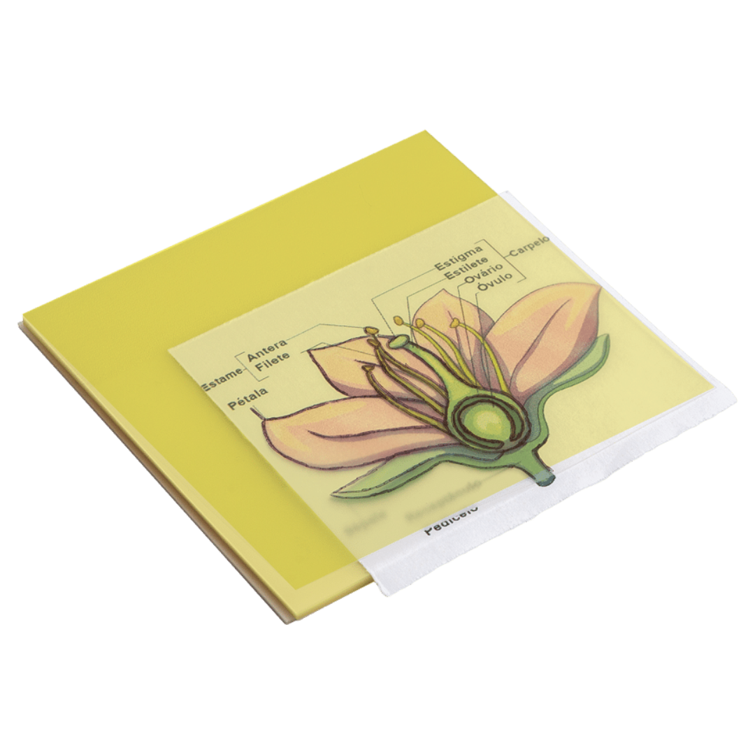 Bloco Adesivo 75x75mm Holic Color 50 folhas Tris - Kepel Suprimentos
