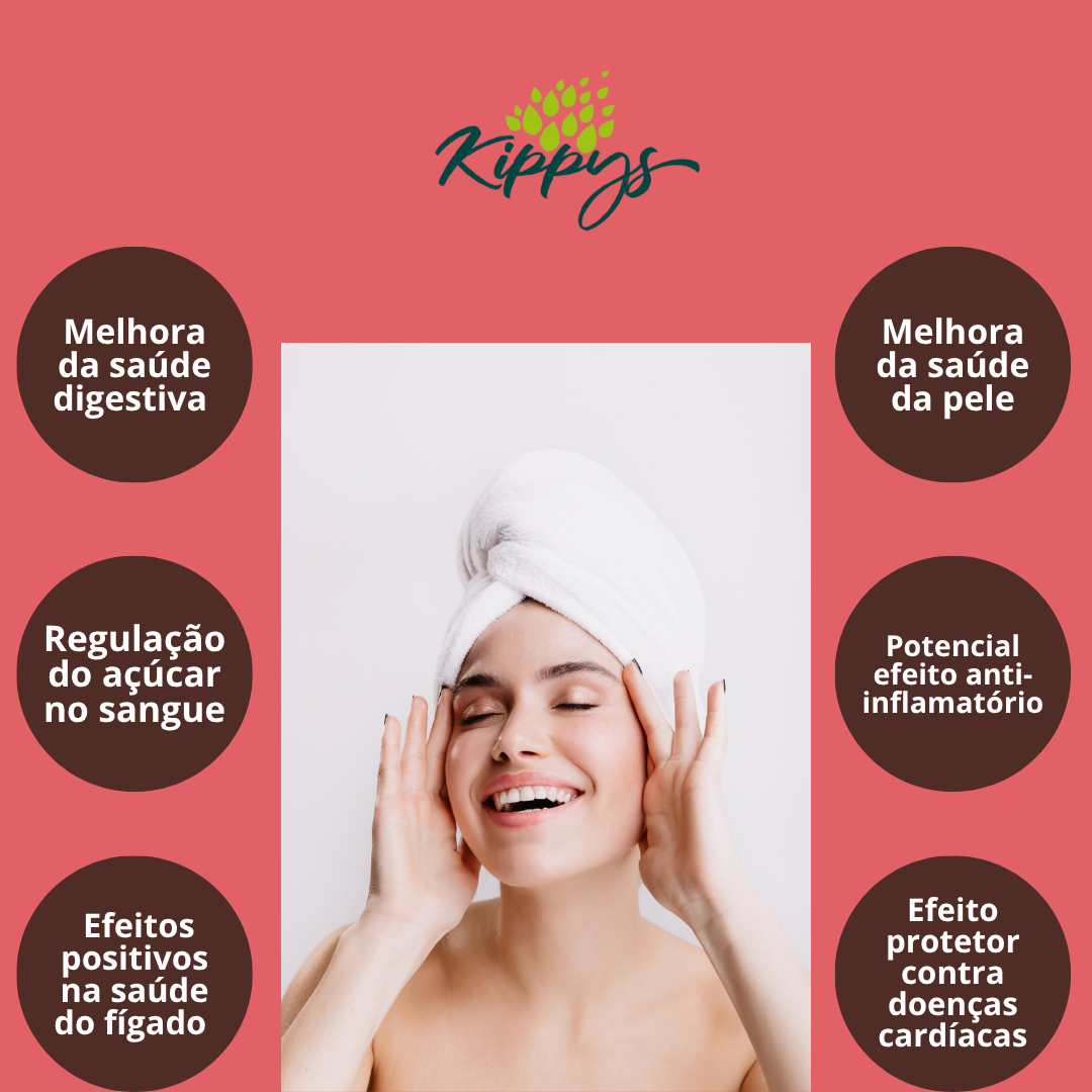 Kombucha | Probióticos Naturais Saúde Intestinal Fermentado - Kippys ...
