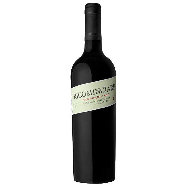 Vinho tinto argentino blend especial safra 2019 - Empório Curtido no ...