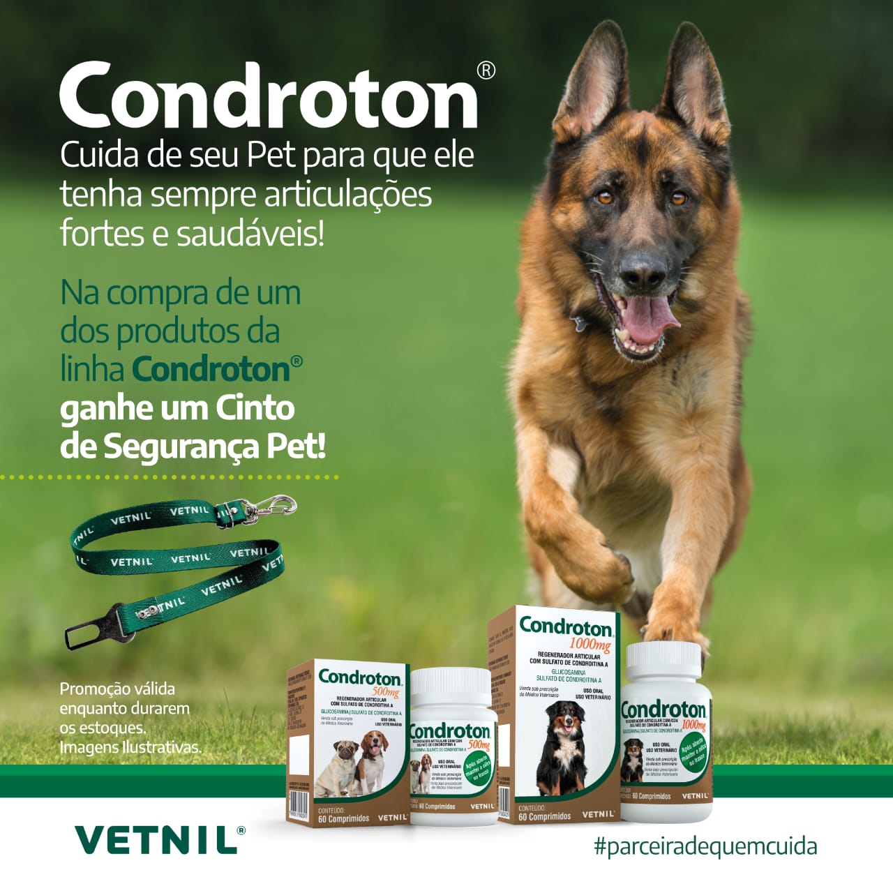 Condroton 500mg com 60 Comprimidos Suplemento para Saúde Pet - Empire Pet