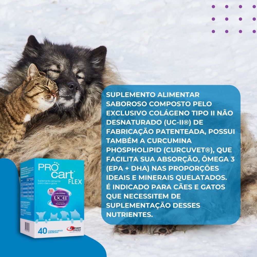 Procart Flex 40 Cápsulas Suporte Articular para Cães e Gatos - Empire Pet