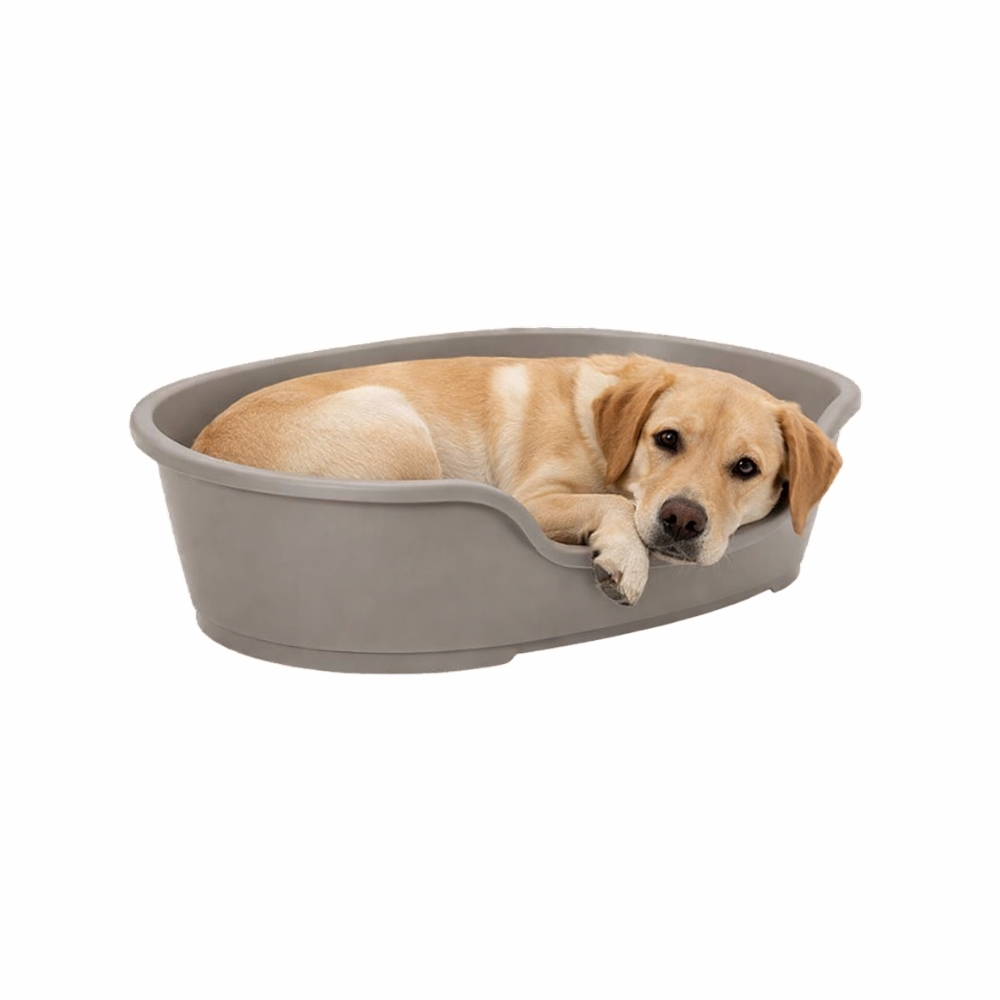 Cama Plástica Domus Gigante - Empire Pet