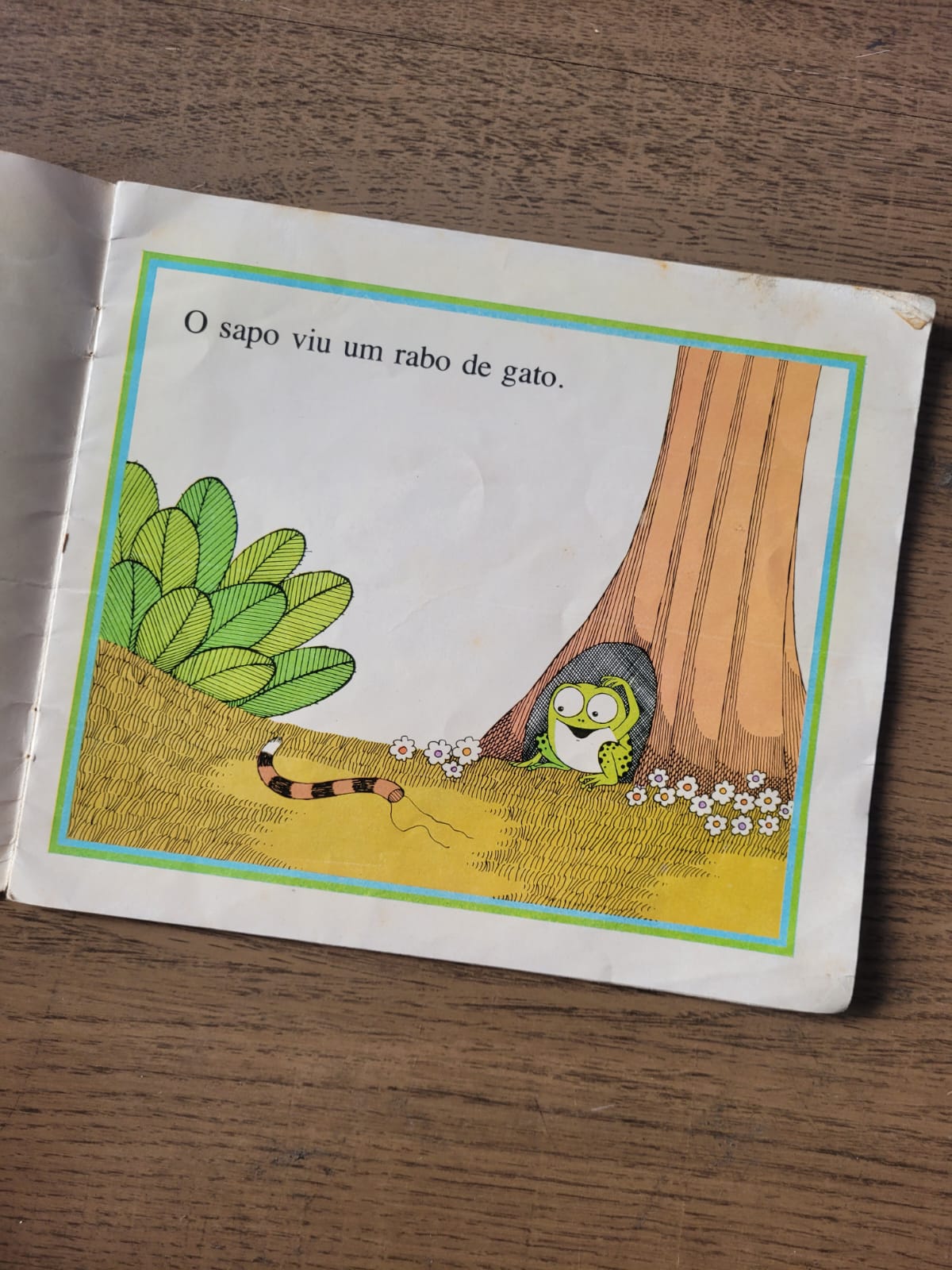 O Rabo do Gato – Mary França - Sebo e Arte Farol