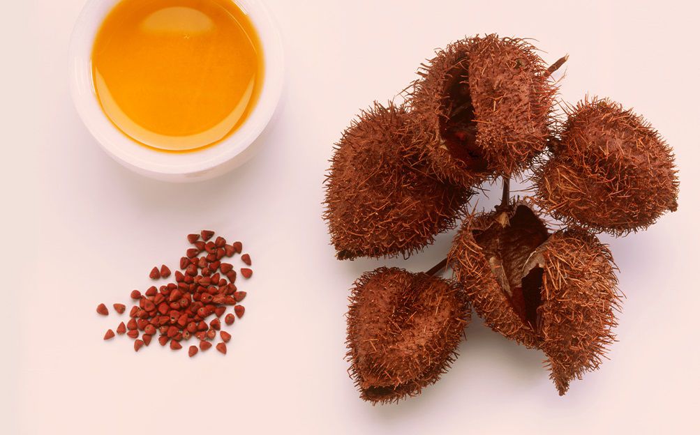 Colorau Colorífico Orgânico Pó 70g Kampo De Ervas - Delhi Especiarias ...