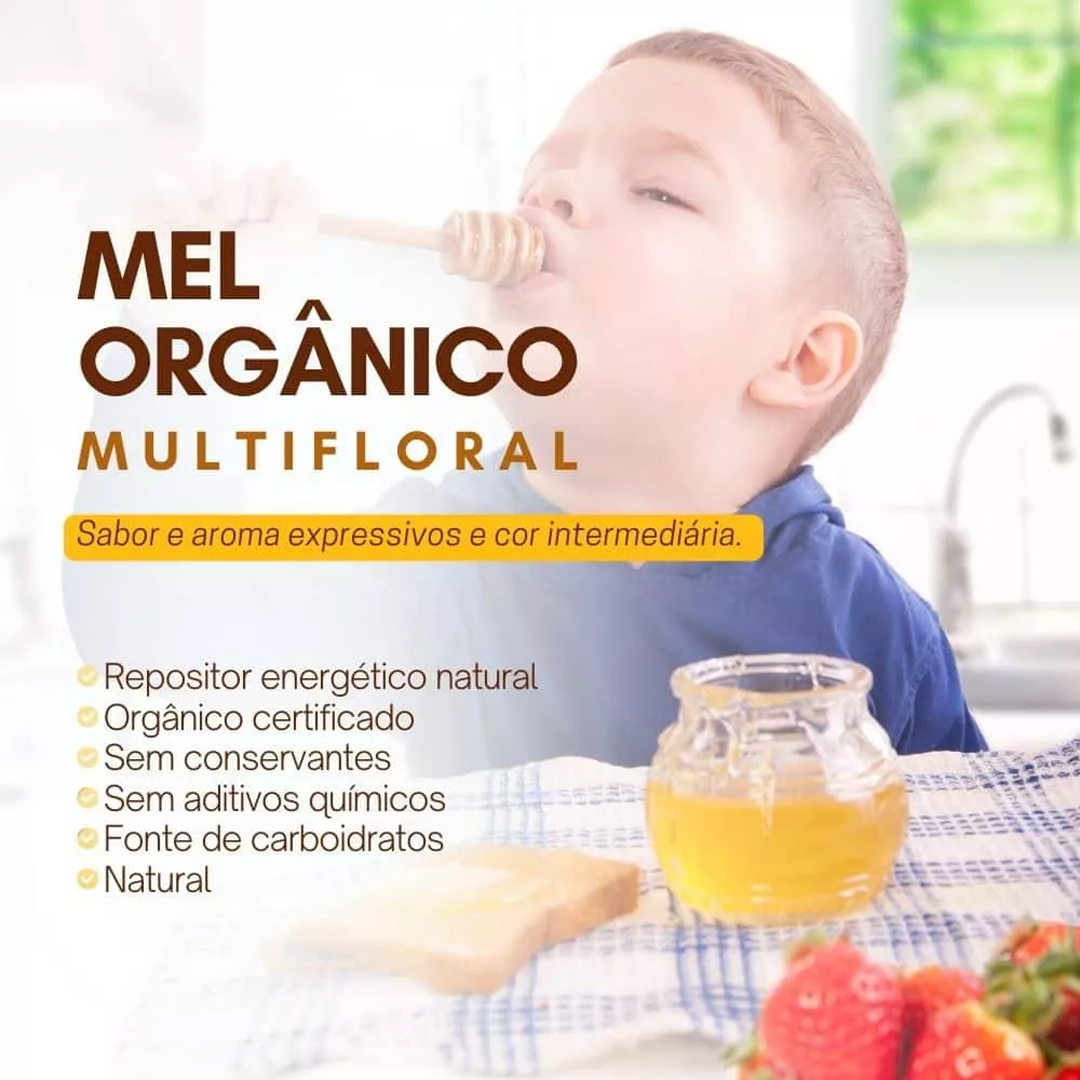 Mel Orgânico Kids 40g 10 Sachês NobreFlora Breyer - Delhi Especiarias ...