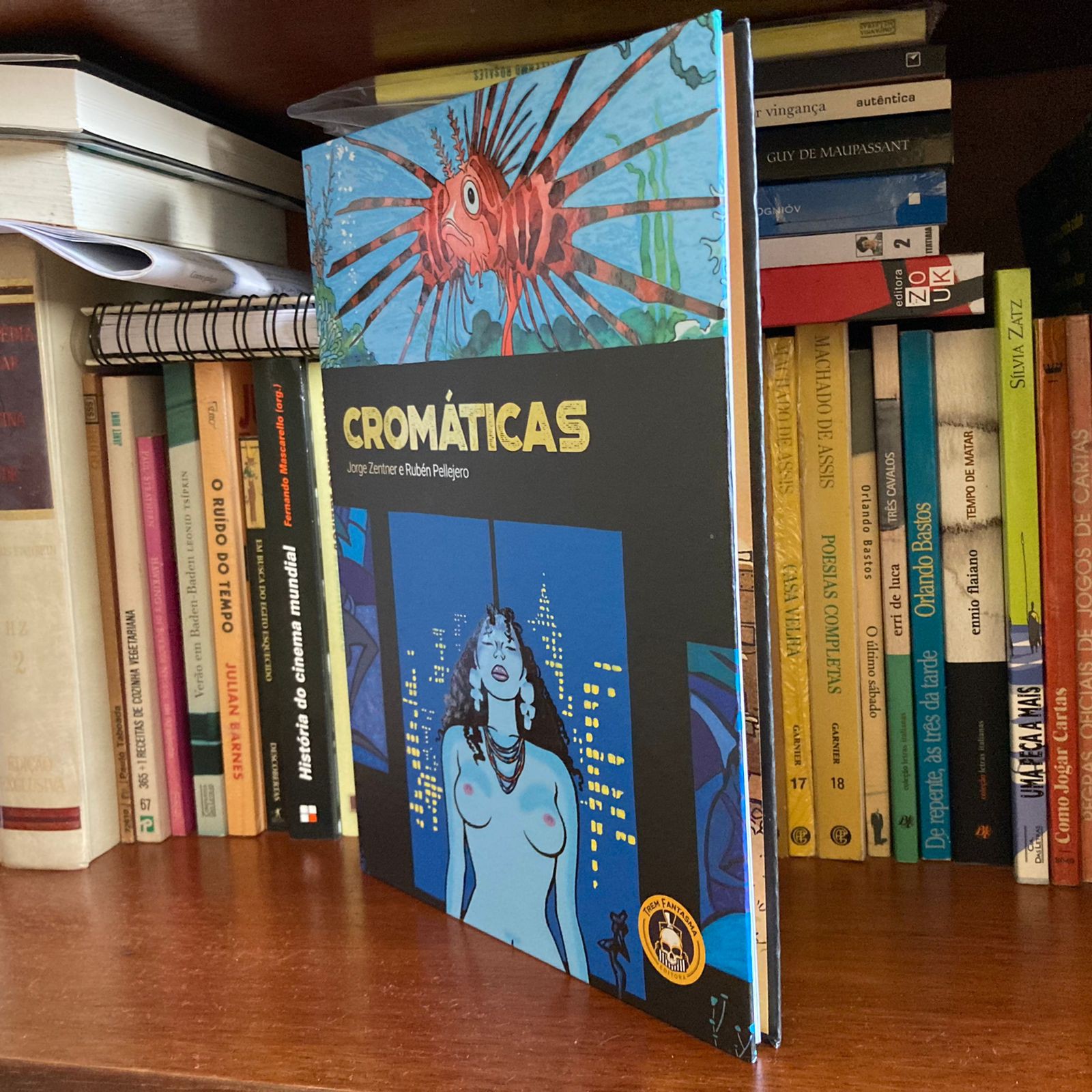 HQ: Cromáticas, de Jorge Zentner & Rubén Pellejero | Pouso Cultural ...