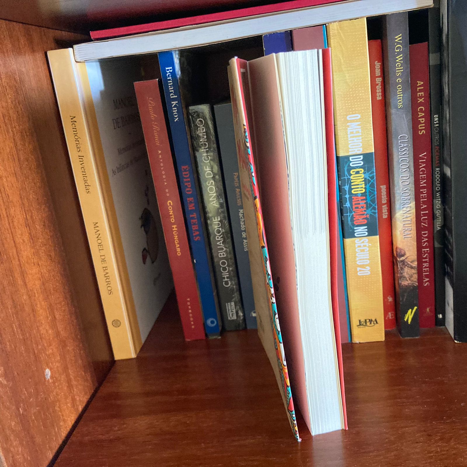 Livro: Nome de mulher, de Gerana Damulakis (Org.) - Pouso Cultural